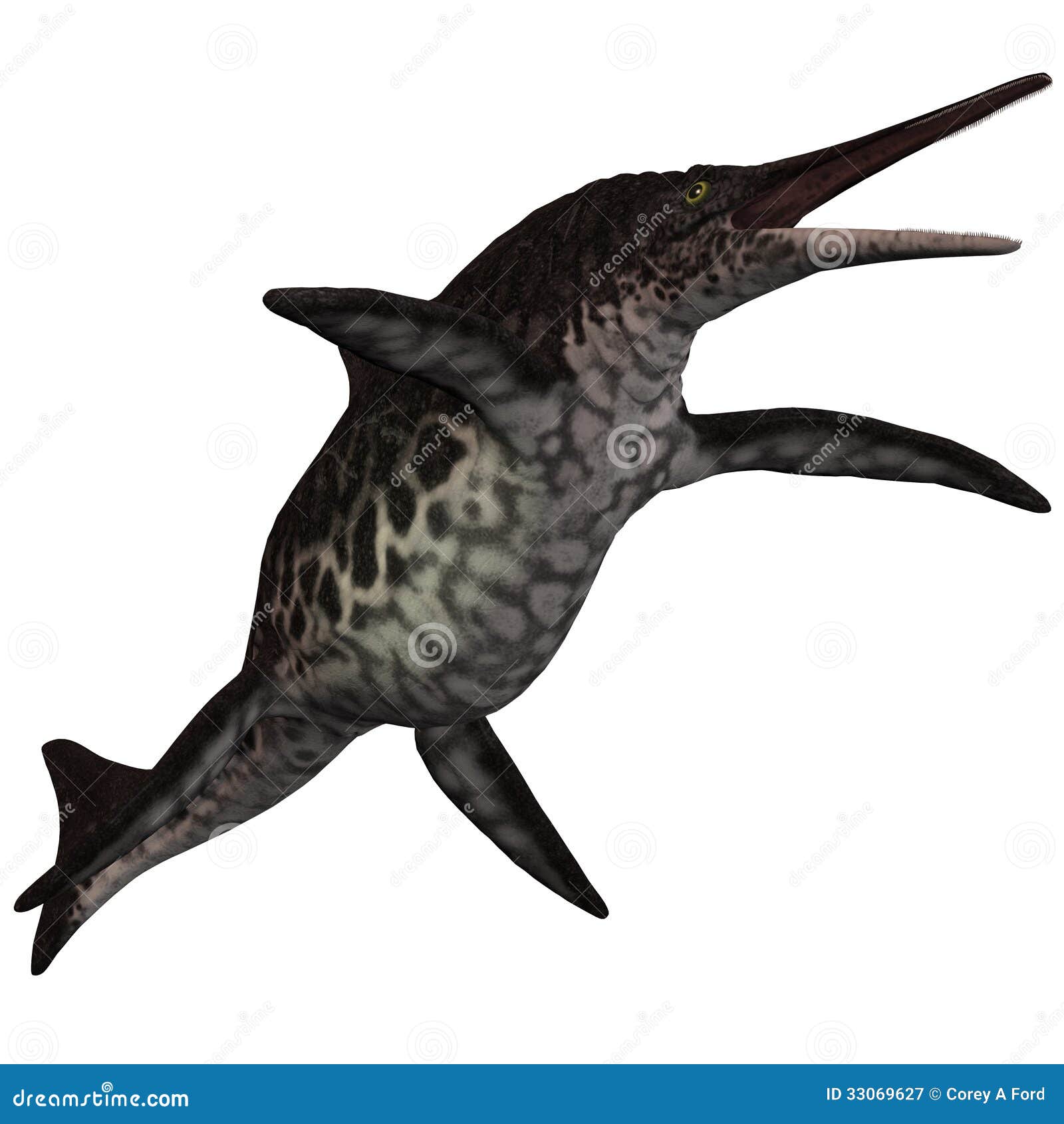 Shonisaurus Icthyosaur on White Stock Illustration - Illustration of ...