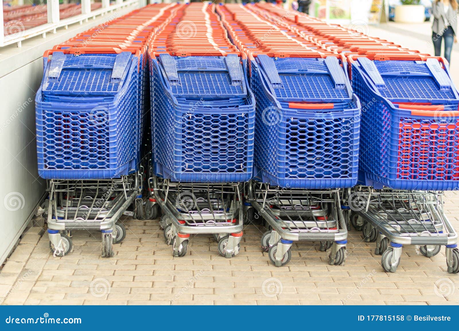 Shooping trolley row stock photo. Image of sale, commercial - 177815158