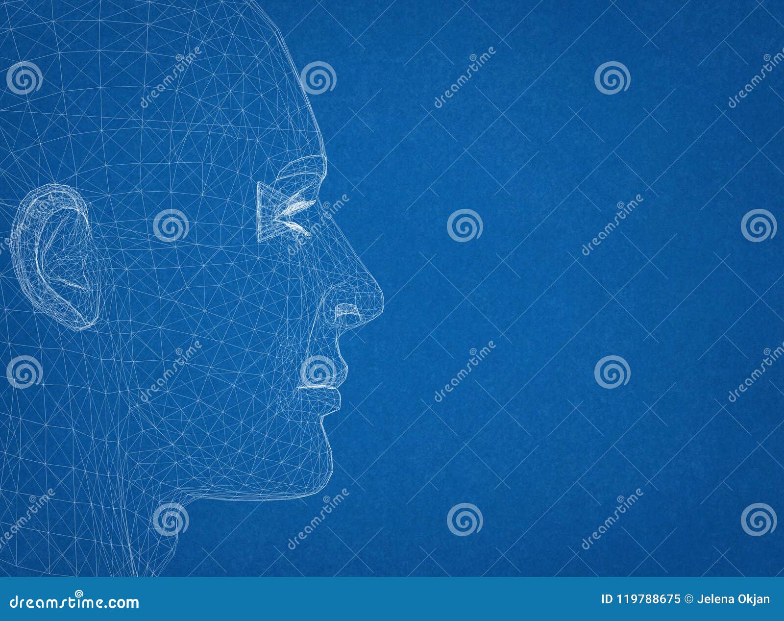 Human Head Design - Architect Blueprint Stock Illustration ...