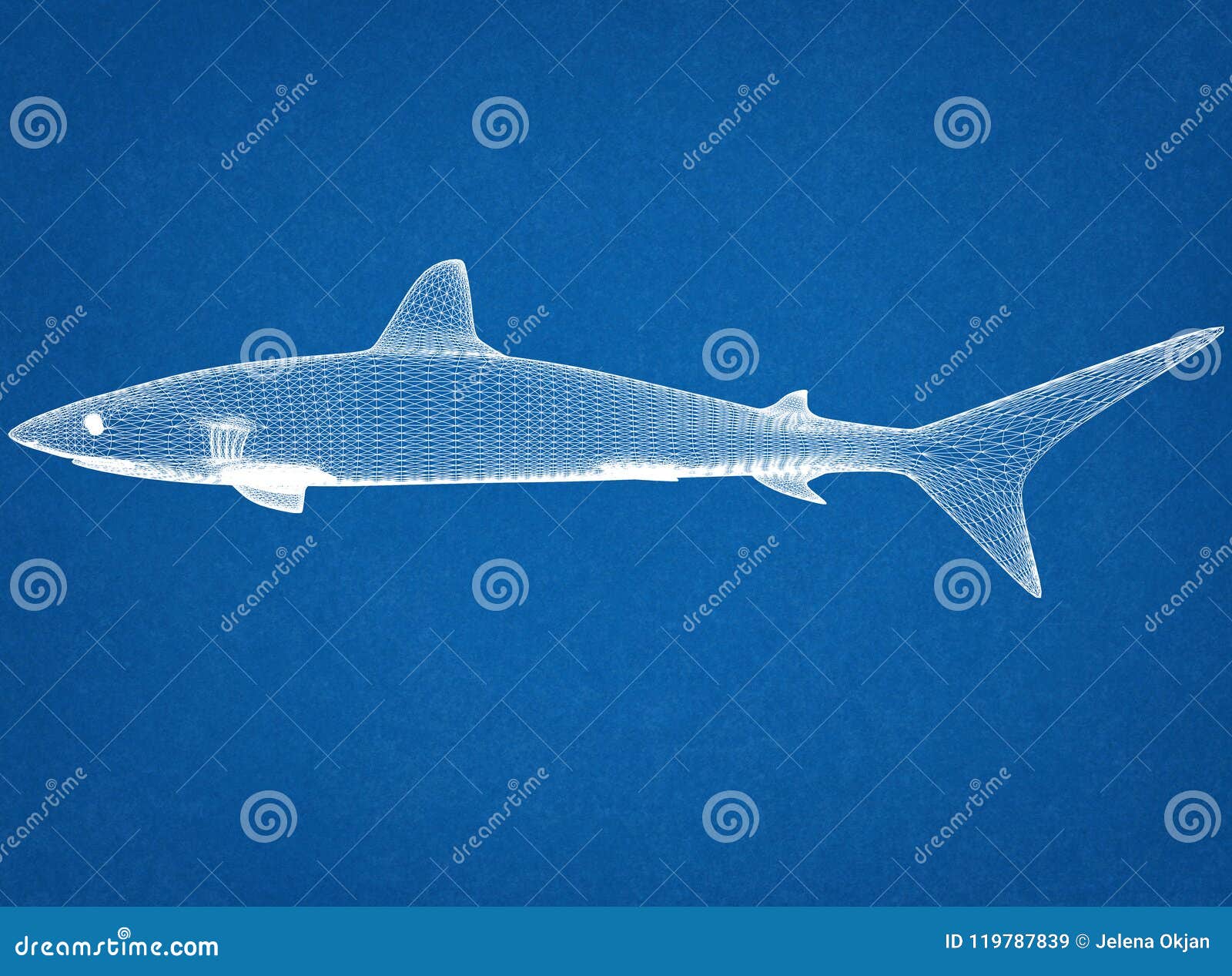 Shark Architect Blueprint stock image. Image of architecture - 119787839