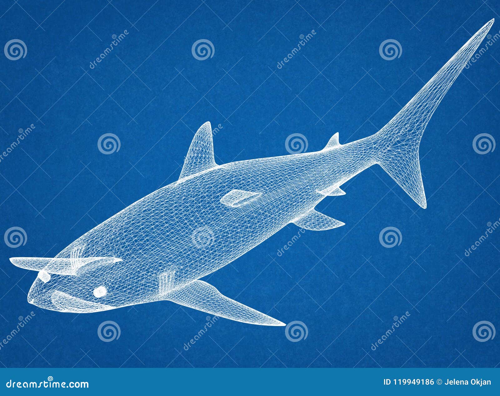 Shark Architect Blueprint stock photo. Image of shark - 119949186