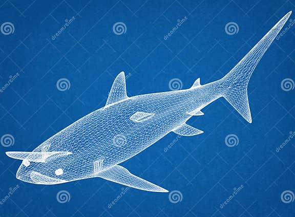 Shark Architect Blueprint stock photo. Image of shark - 119949186