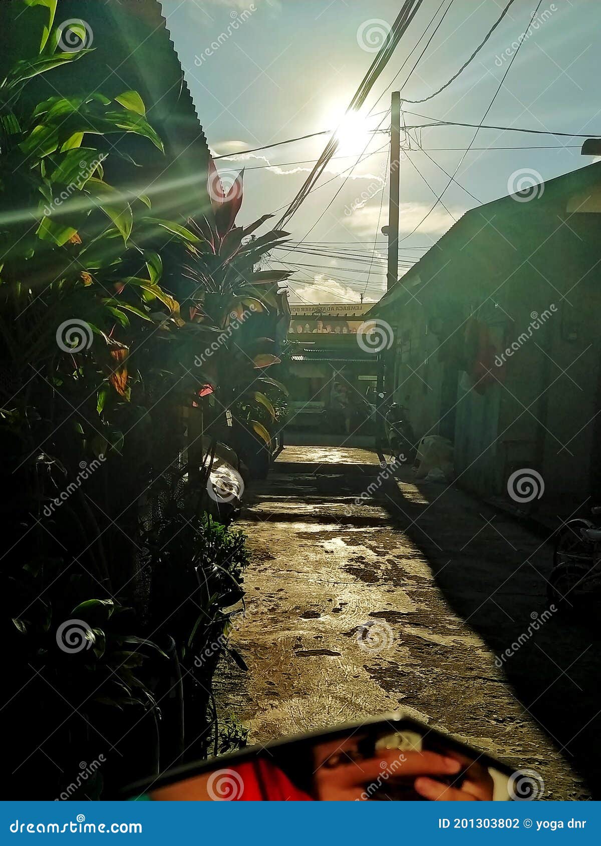 Shoot sun rays stock photo. Image of sunny, settlement - 201303802