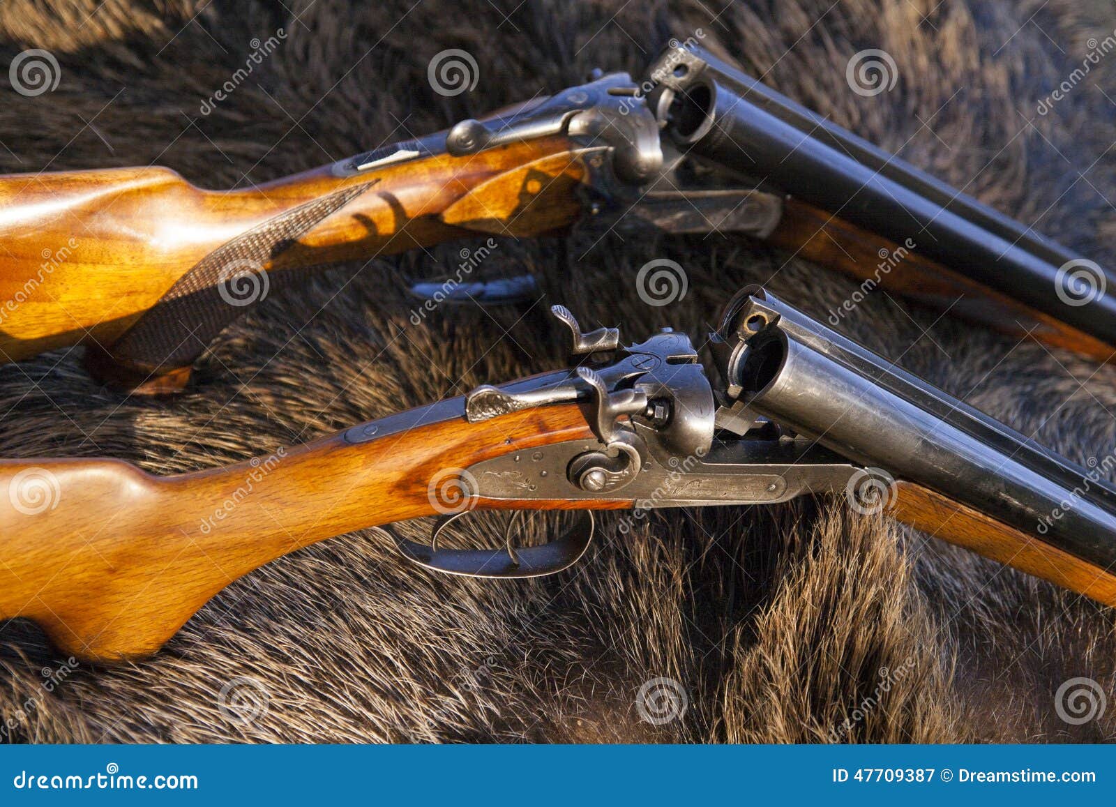 Shootgun stock image. Image of hunting, ammunition, fretwork - 47709387