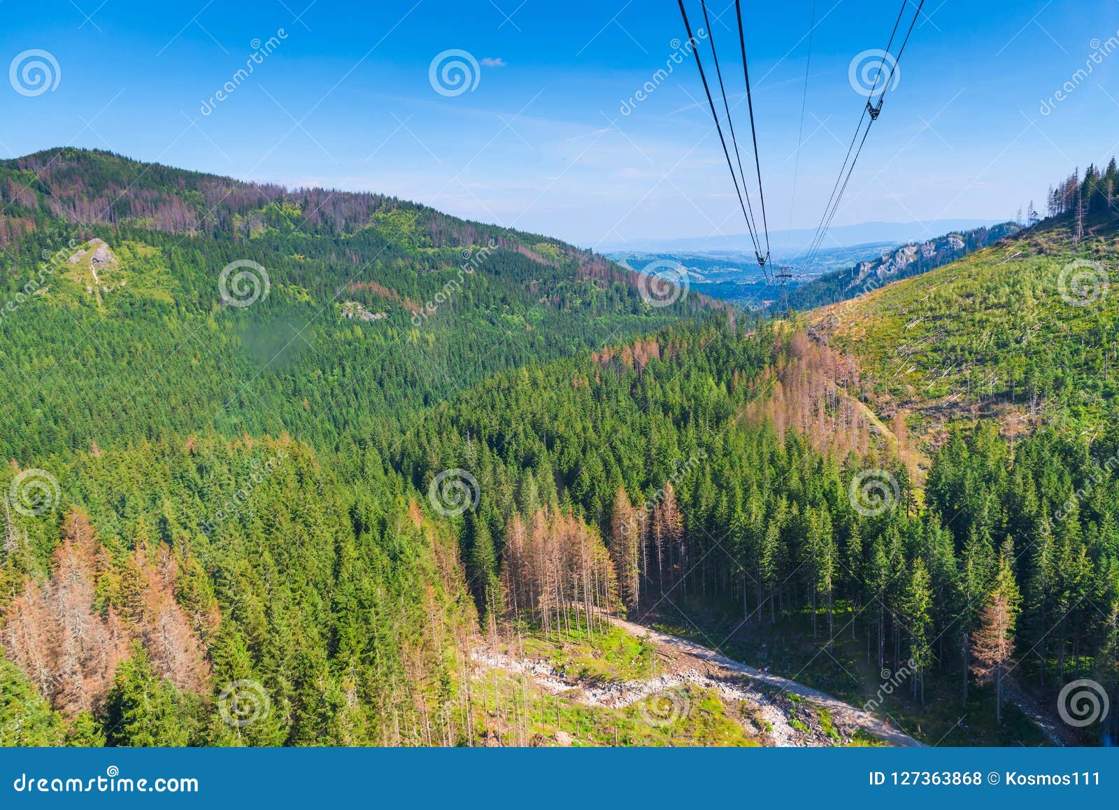 View From A Height Of The Forest Engulfed In Fire. The Sky Is In Smoke ...
