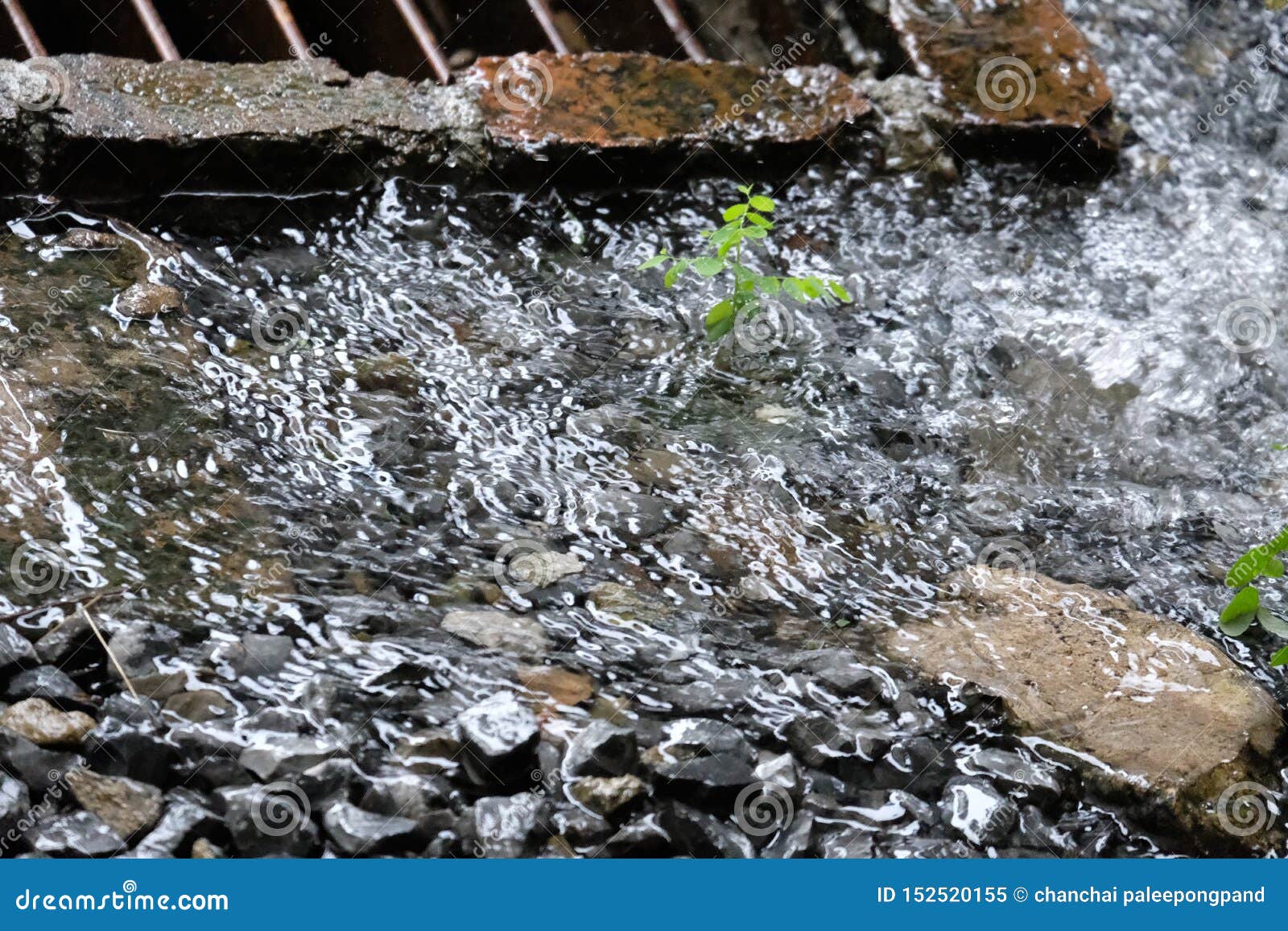 Shooting Macro Pictures of the Rain Pouring Out . Stock Image - Image ...