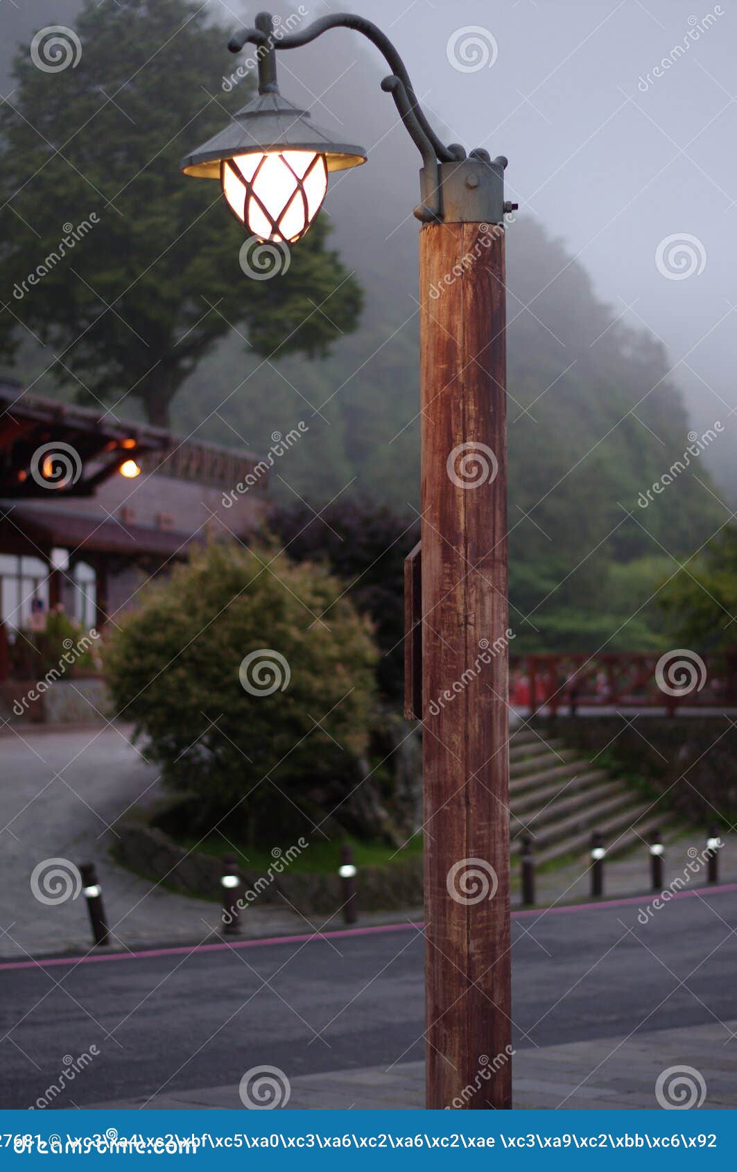 Shooting Night Street Lights in the Forest Stock Image - Image of room ...