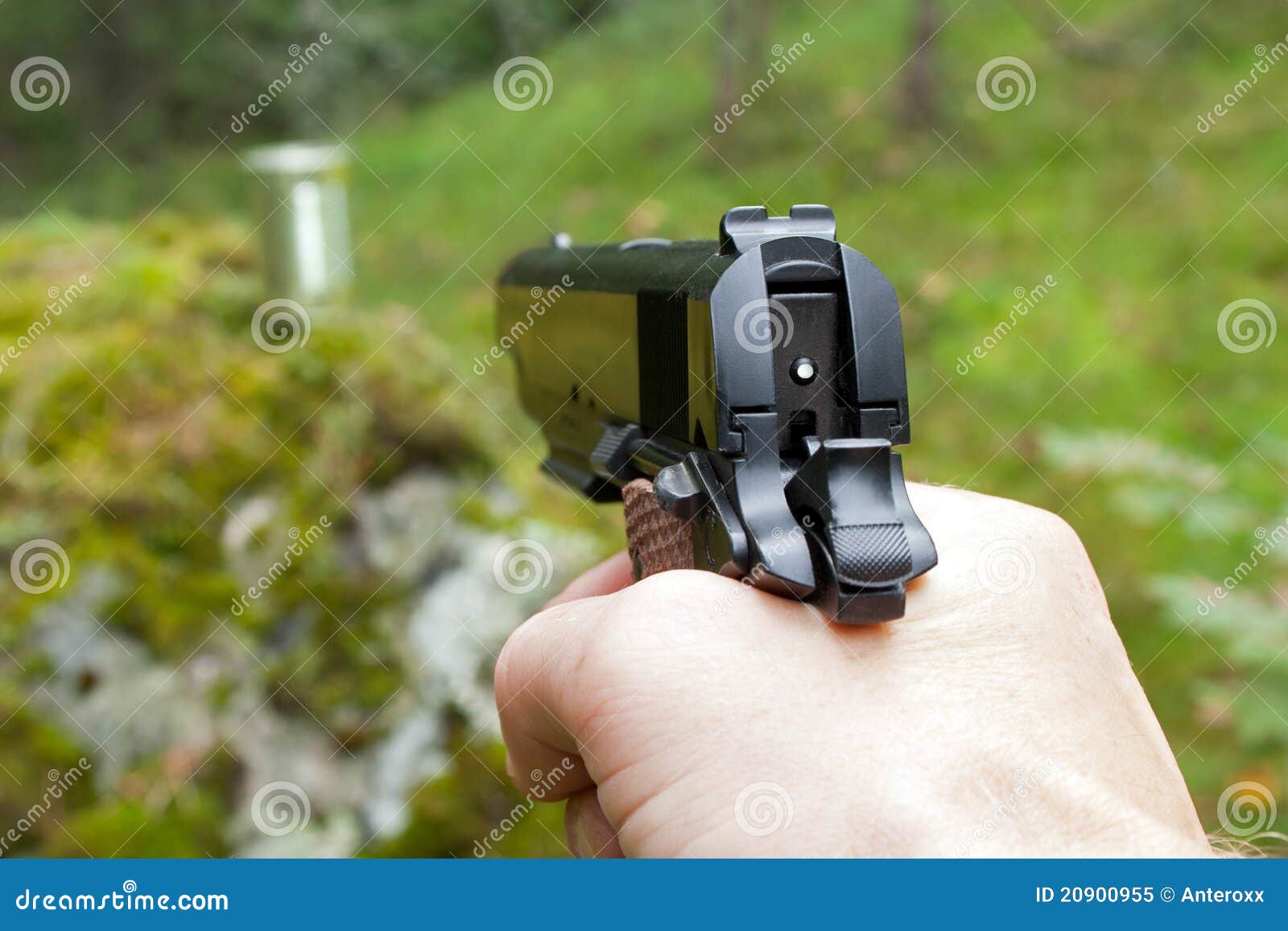 Shooting Practice in the Woods Stock Image - Image of metal, dangerous ...