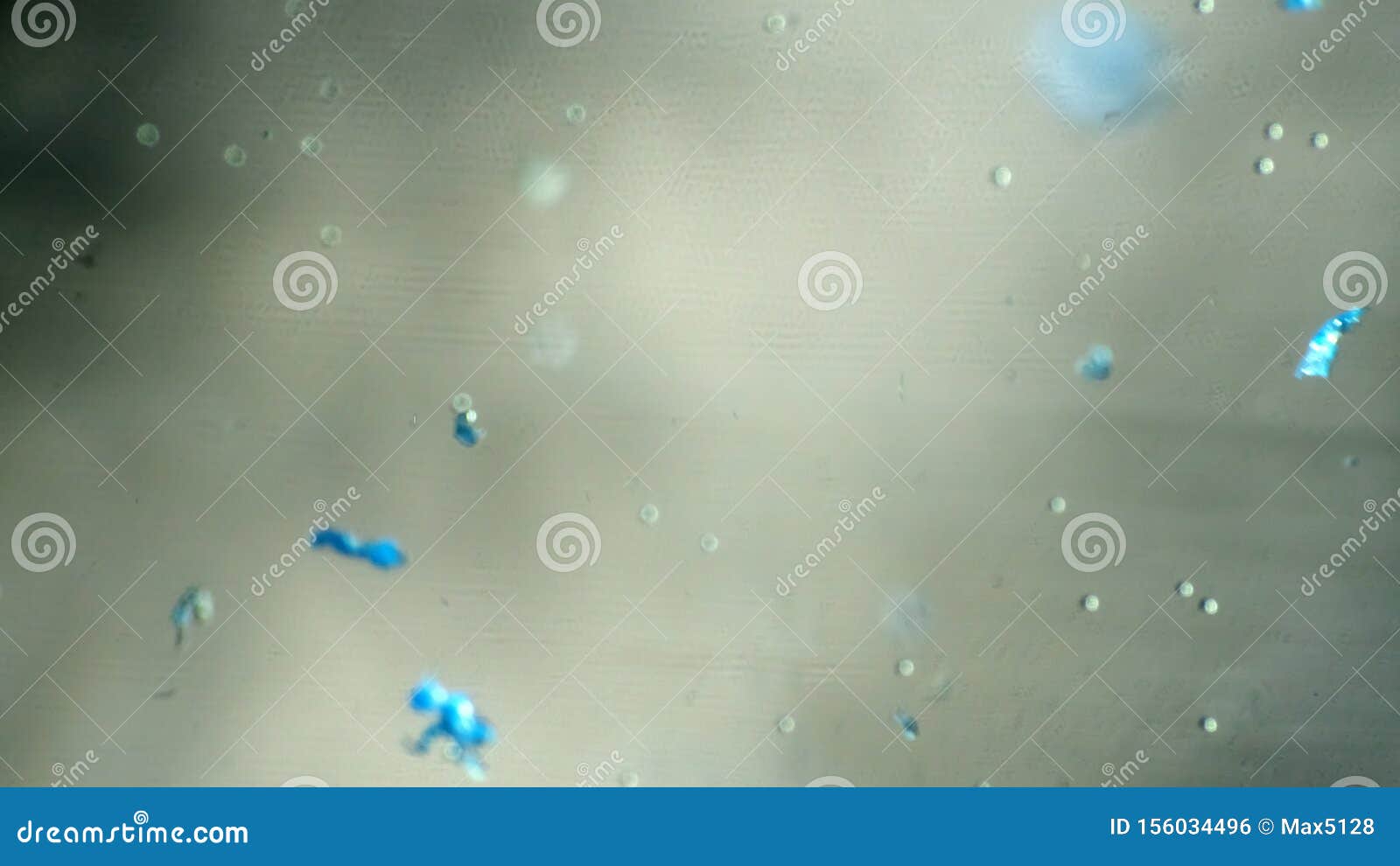 Shooting of Small and Micro Plastic Pieces in Water Environment Stock ...