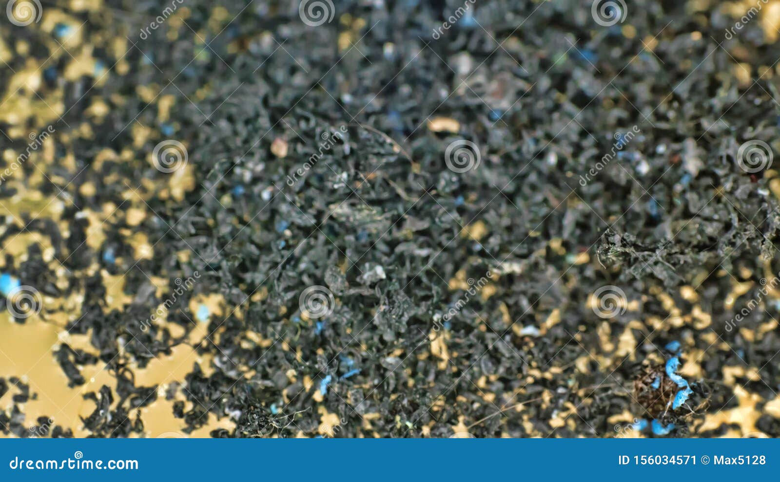 Shooting of Small and Micro Plastic Pieces in Water Environment Stock ...