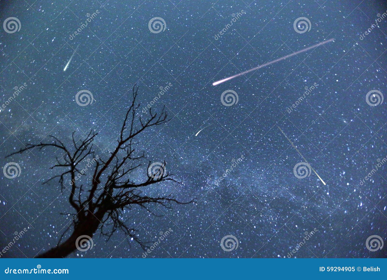 Shooting Stars image stock. Image du comète, crépuscule - 59294905