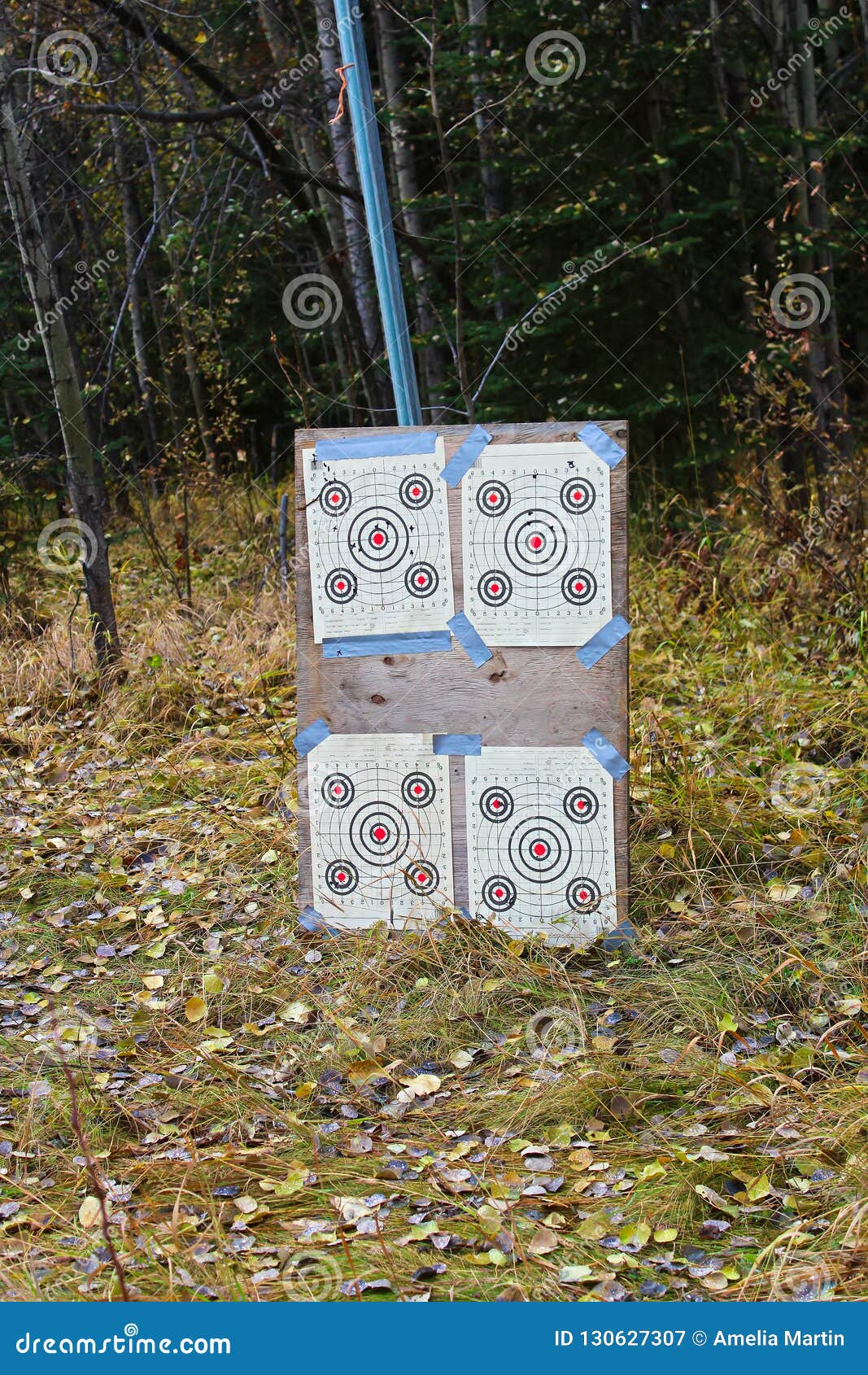 Shooting Targets Setup on Plywood in Front of Trees Stock Image - Image ...