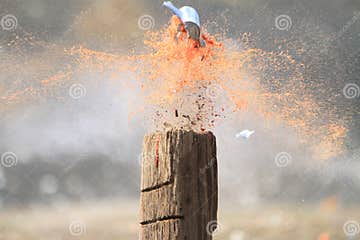 Shooting tin cans stock image. Image of accuracy, shoot - 22640949