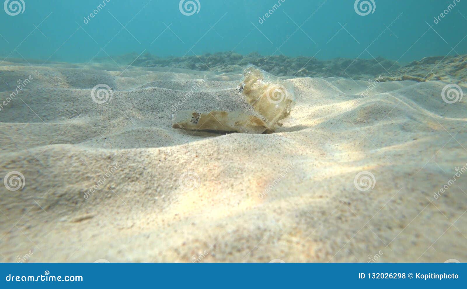 Shooting Underwater Action Camera. Bottom, Litter and Lonely Fish ...