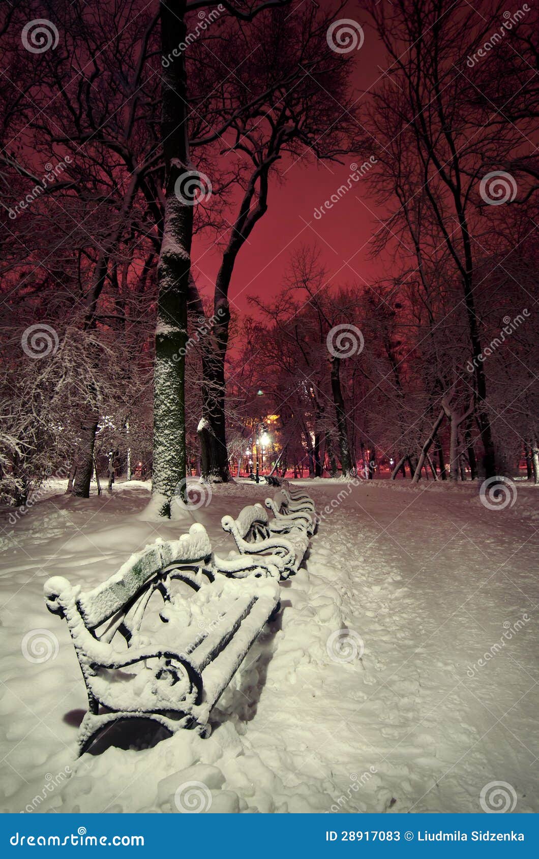 Shop in the Snow in a Park in Winter Night Stock Image - Image of ...