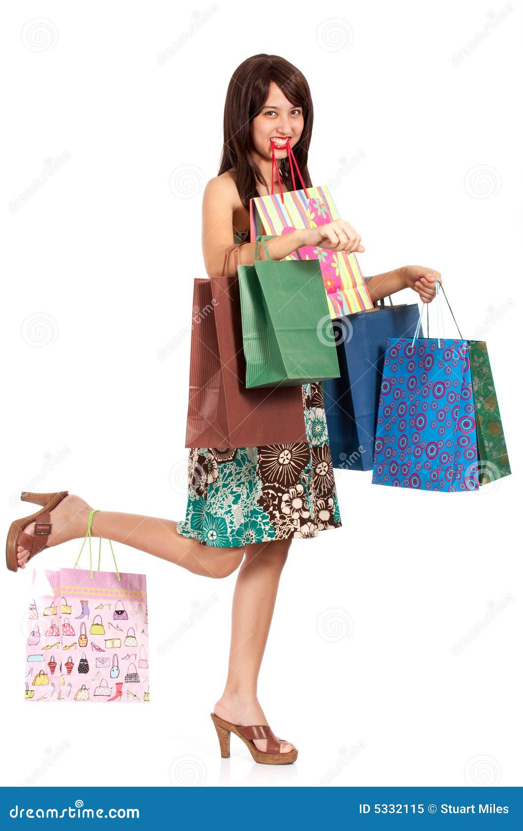 Shopaholic lady stock image. Image of sale, shopaholic - 5332115