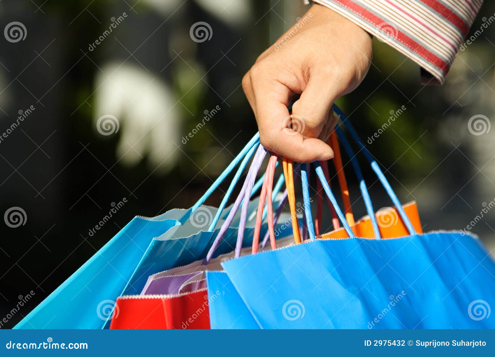 Shopping stock photo. Image of bags, shop, outlet, standing - 2975432