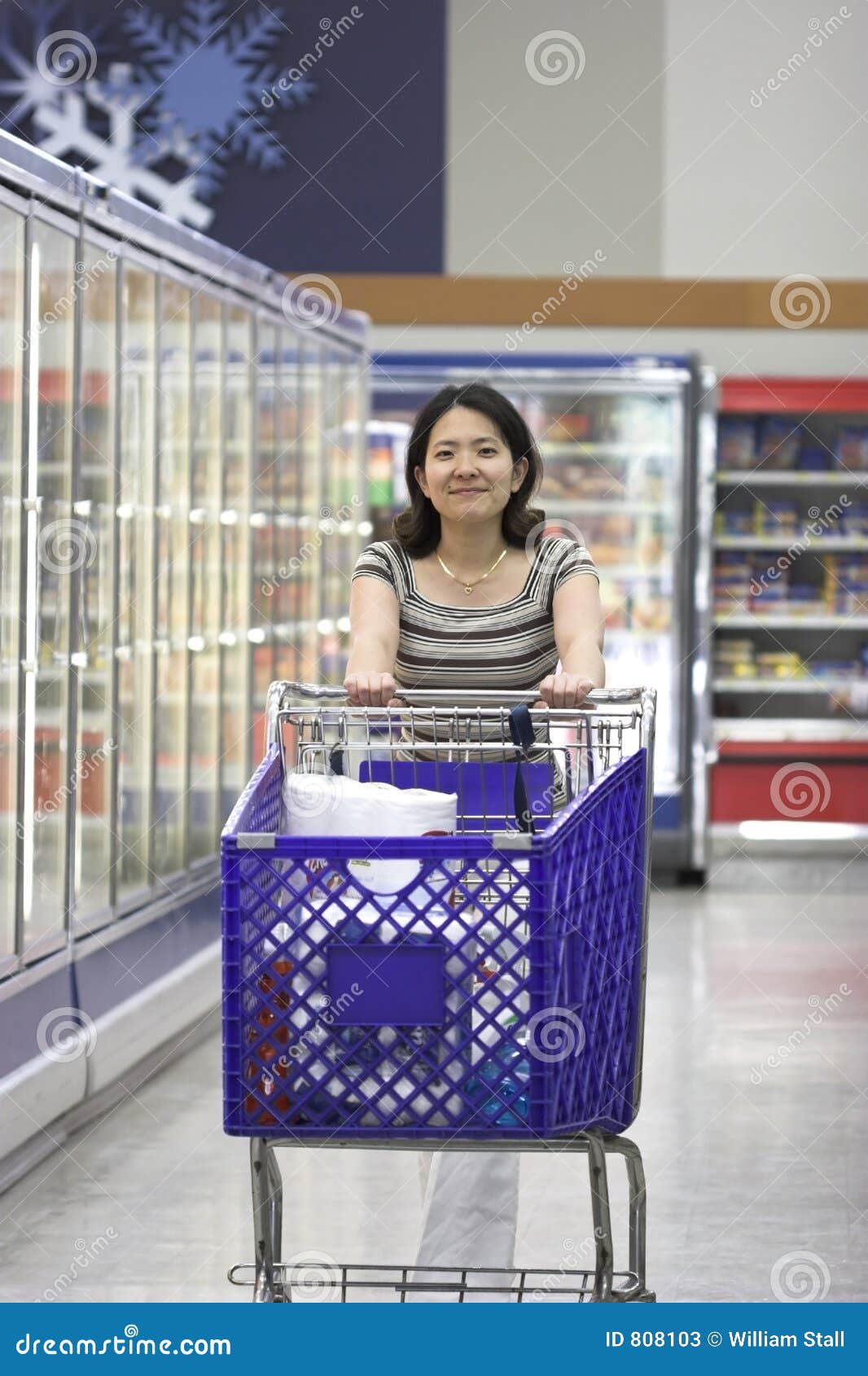 Shopping stock image. Image of snacks, beautiful, products - 808103