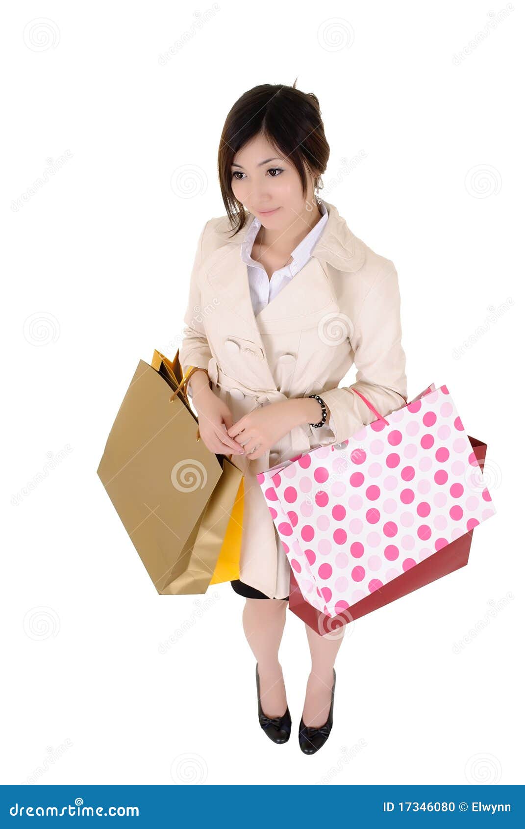 Shopping business woman stock photo. Image of feminine - 17346080