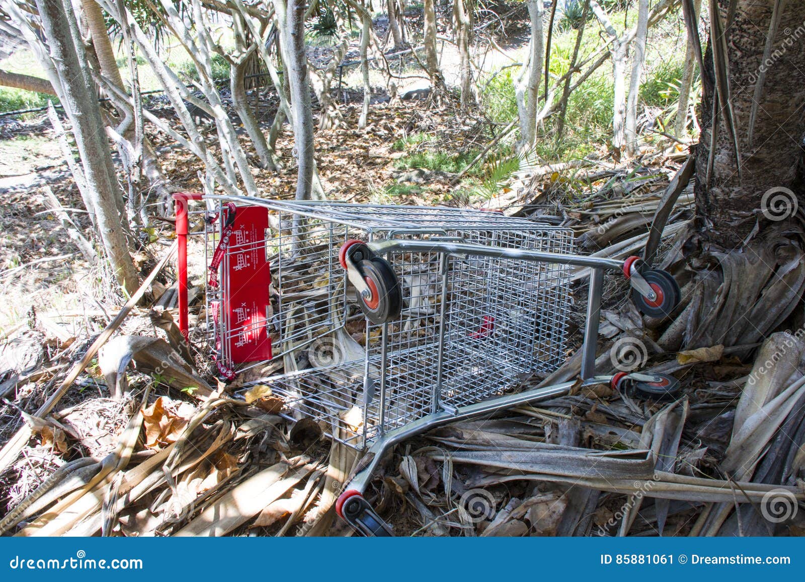 Shopping cart graveyard stock image. Image of spoiling - 85881061