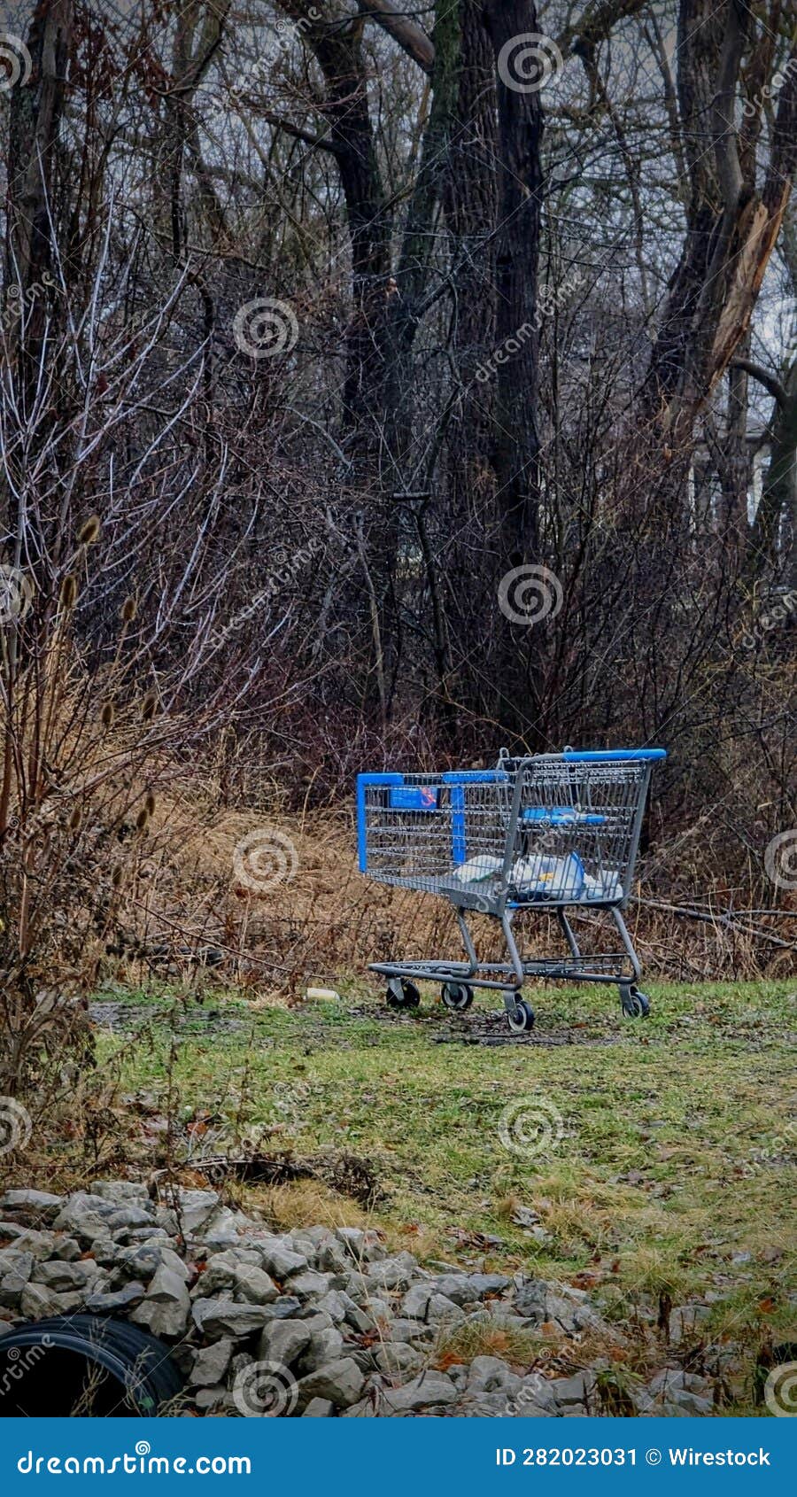 Shopping Cart is Pictured in a Park Setting with Lush Trees. Stock ...