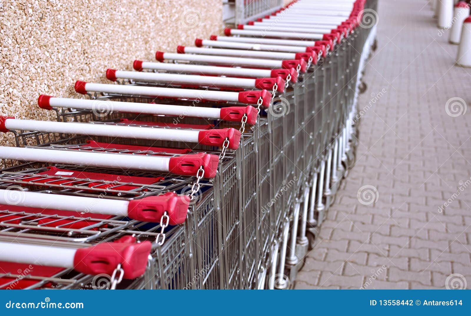 Shopping carts stock photo. Image of carts, delivery - 13558442