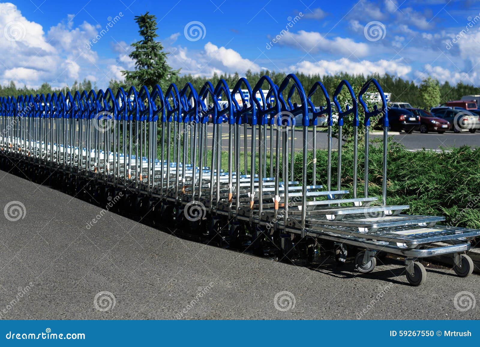 Shopping carts stock photo. Image of commerce, basket - 59267550