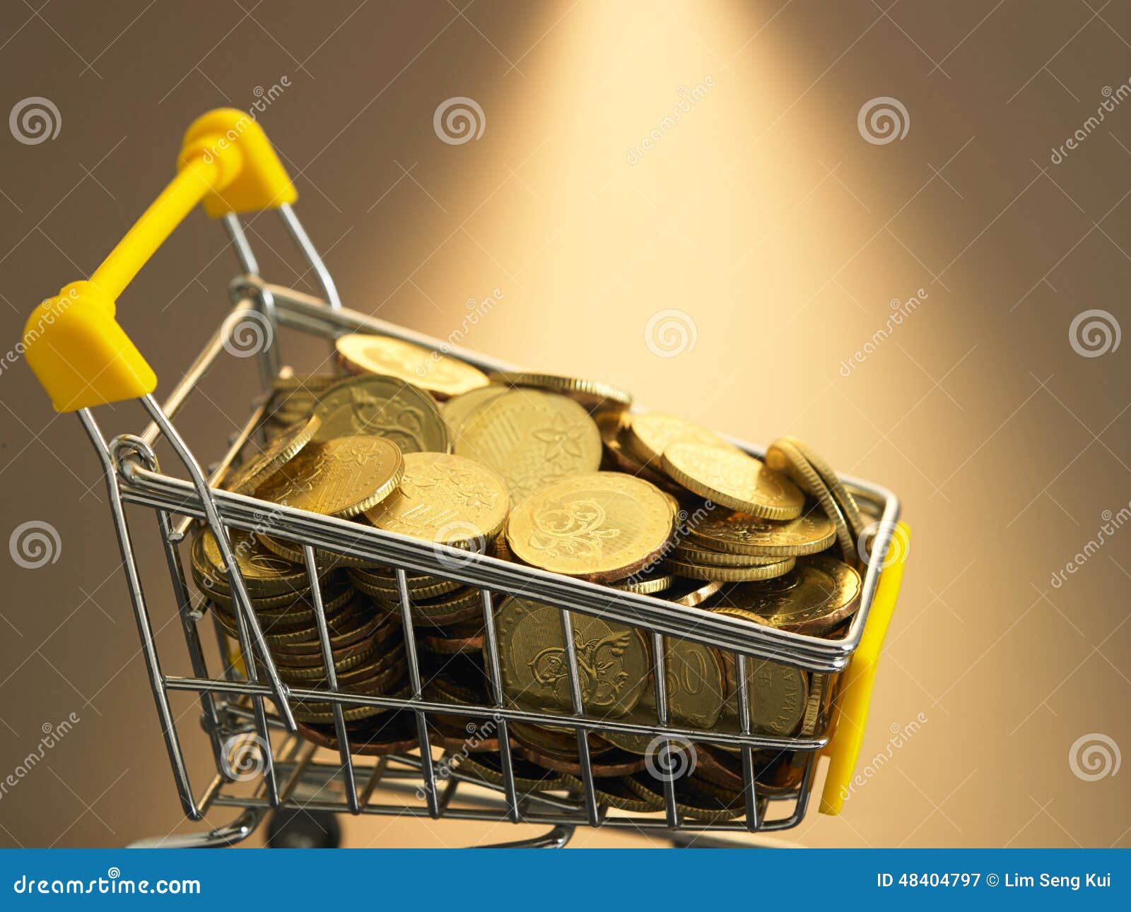 Shopping with cash stock image. Image of concept, open - 48404797