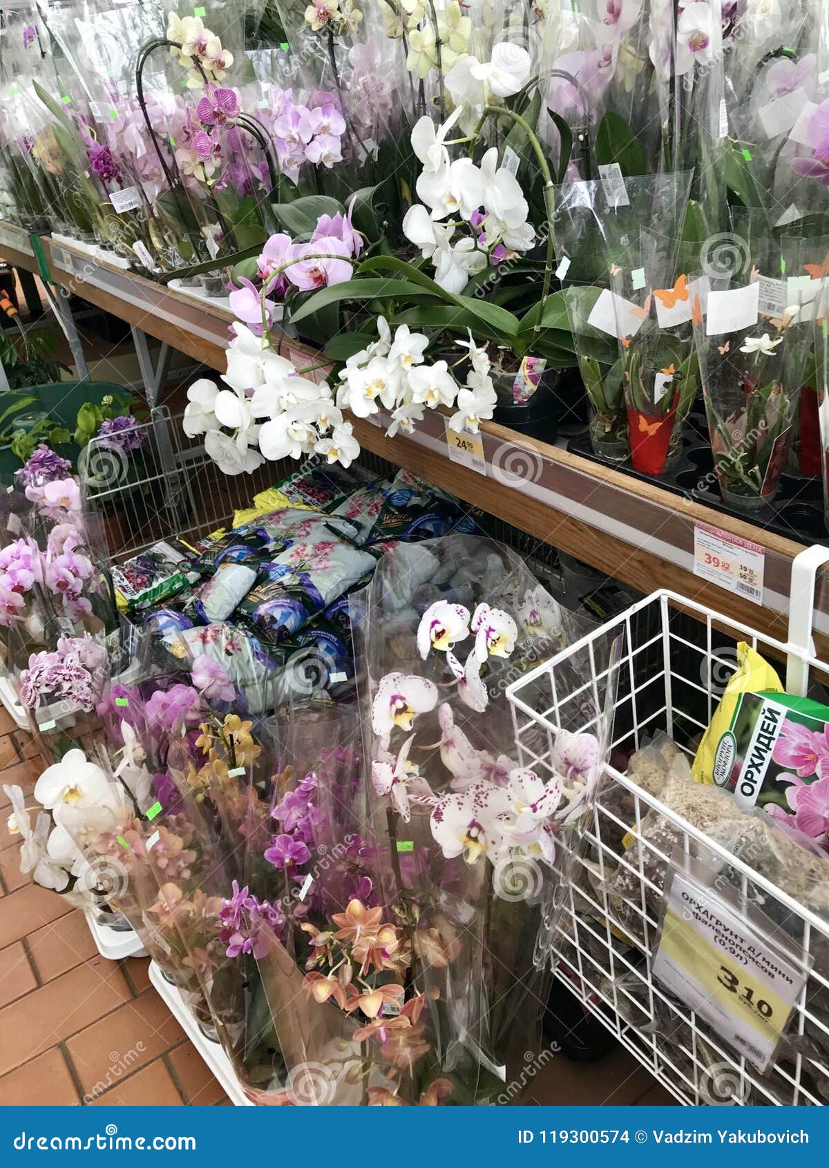 Shopping Center, Selling Flowers and Gardening Equipment. Beautifully ... Shopping Center, Selling Flowers and Gardening Equipment. Beautifully ...