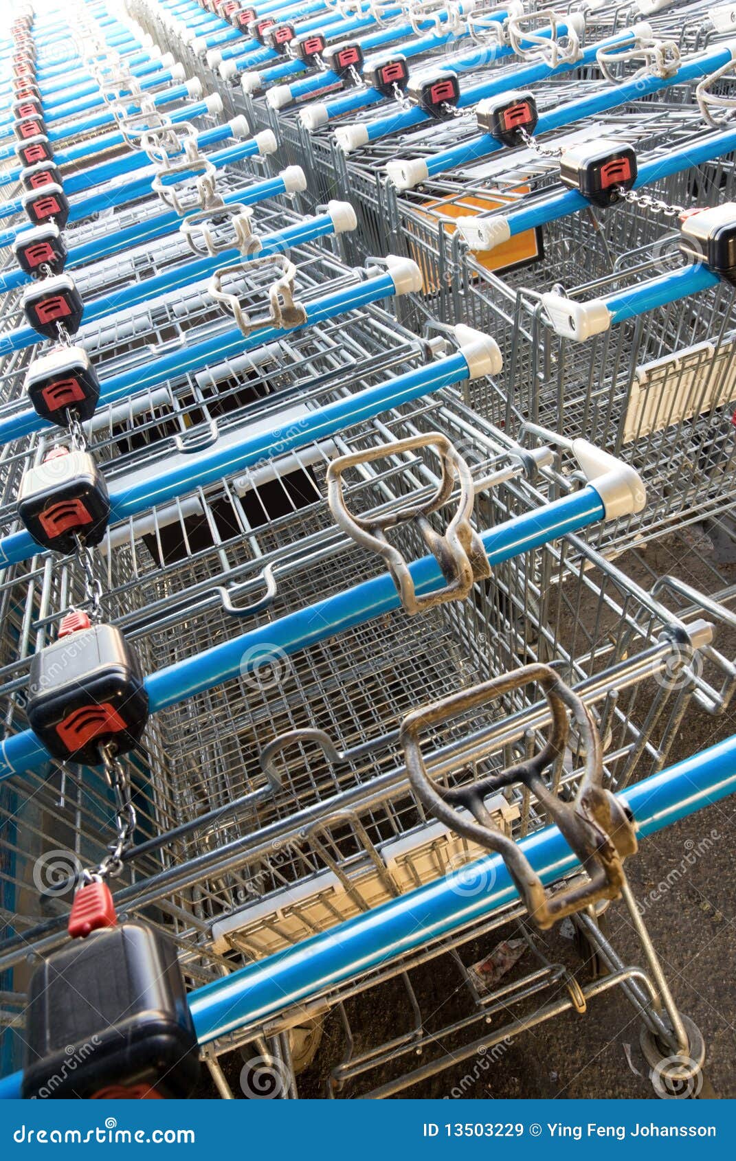 Shopping Charts at a Supermarket Stock Image - Image of shopper ...
