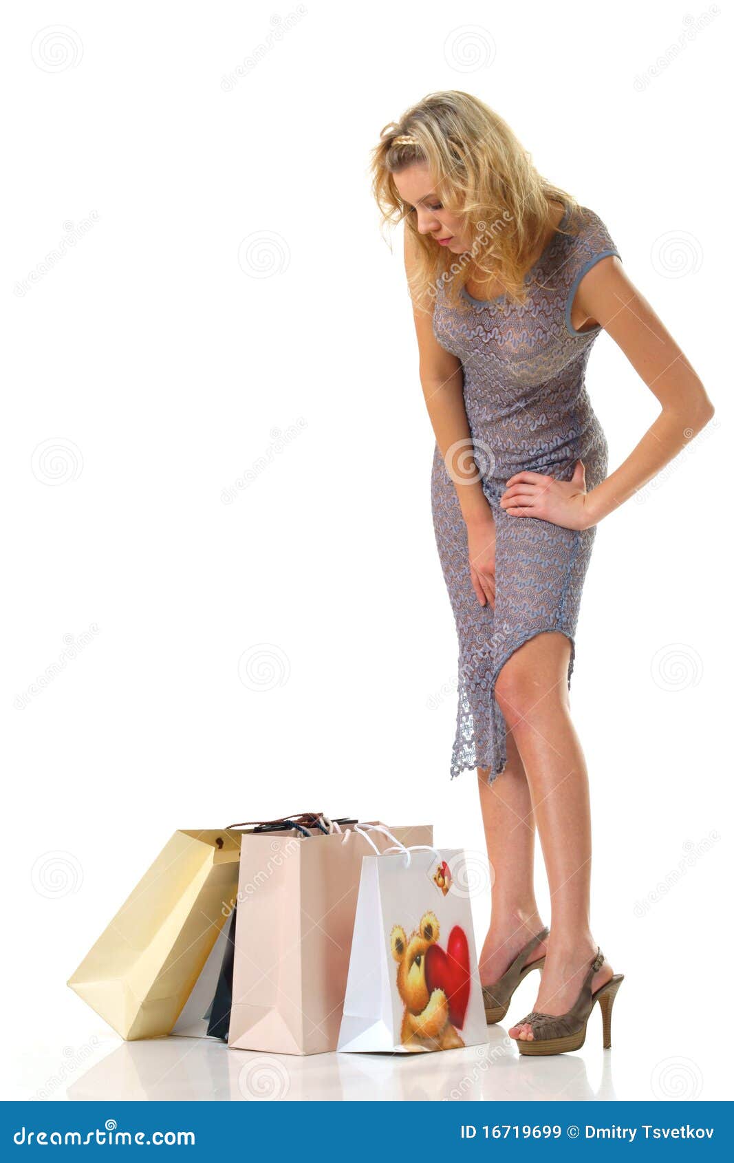 Shopping lady stock image. Image of elegant, elegance - 16719699