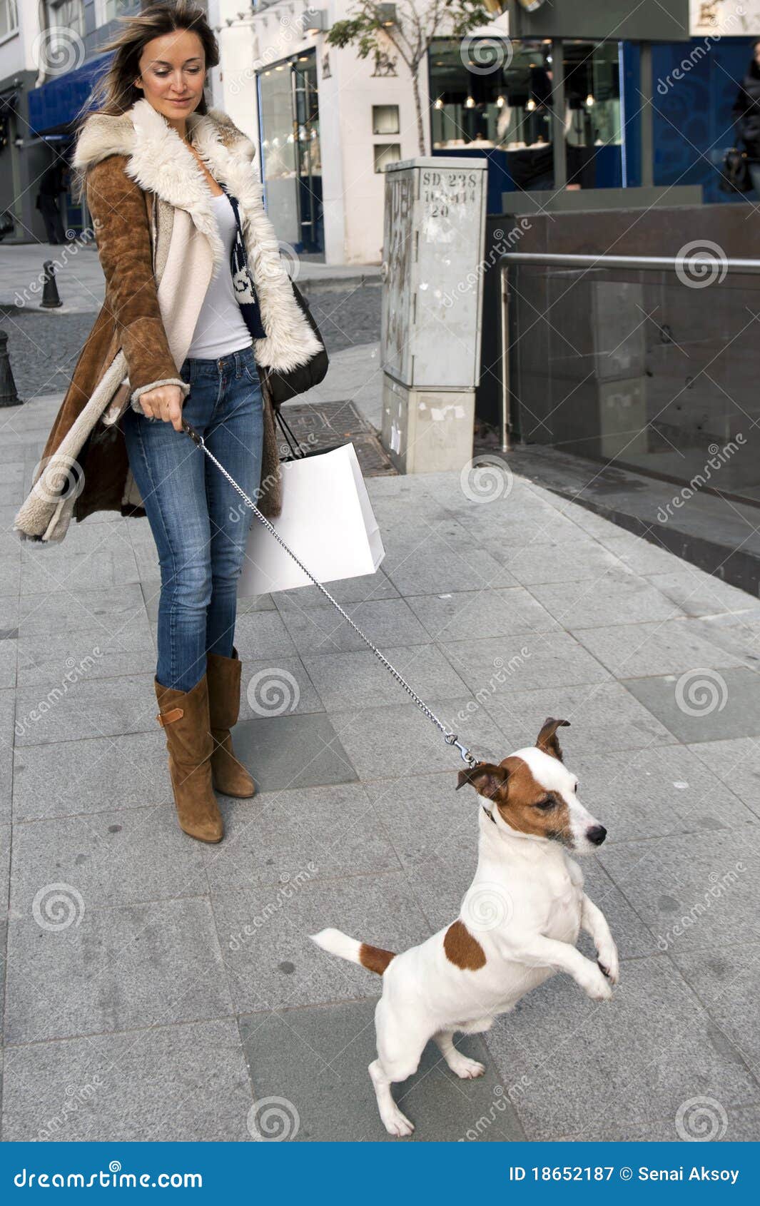 Shopping with my dog stock image. Image of boutique, canine - 18652187