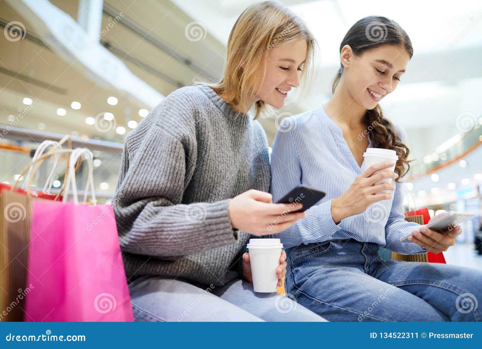 Shopping in the net stock image. Image of chrismas, millennial - 134522311