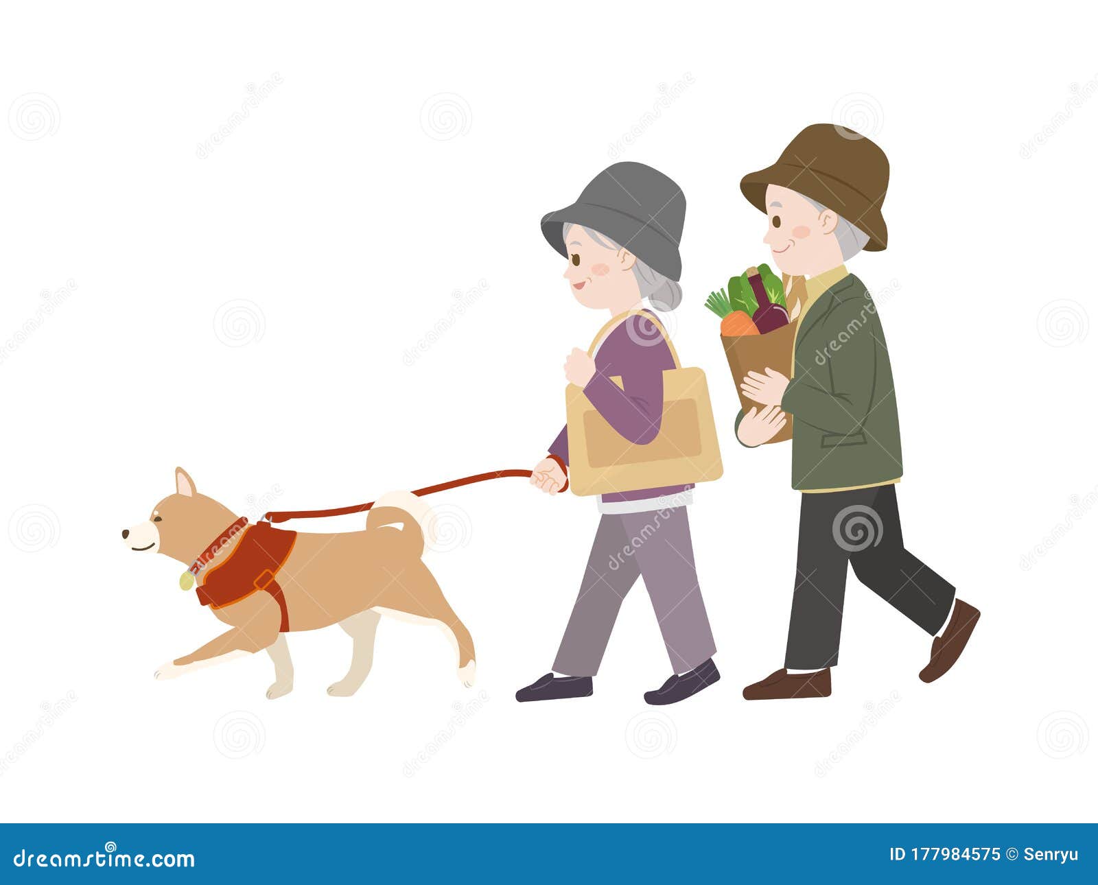 Shopping senior stock vector. Illustration of woman - 177984575