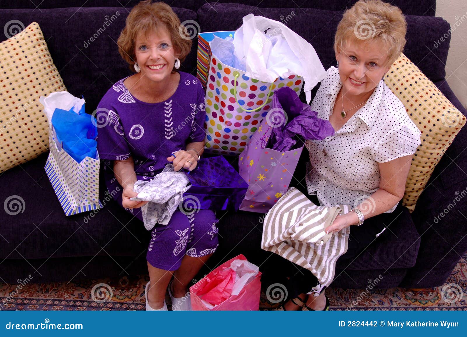 Shopping spree stock photo. Image of enjoyment, ladies - 2824442