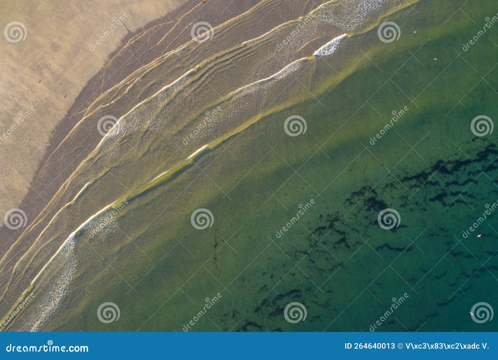 Shore of a Beach at Dawn Aerial View with Drone Stock Image - Image of ...