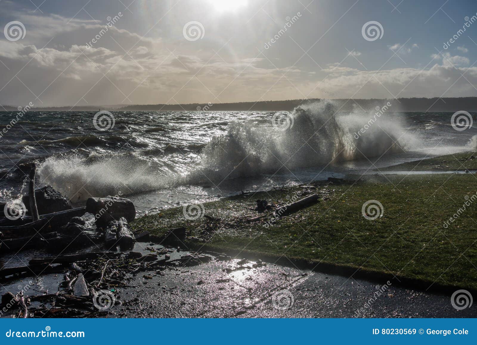 Shore Break Explosion stock image. Image of northwest - 80230569