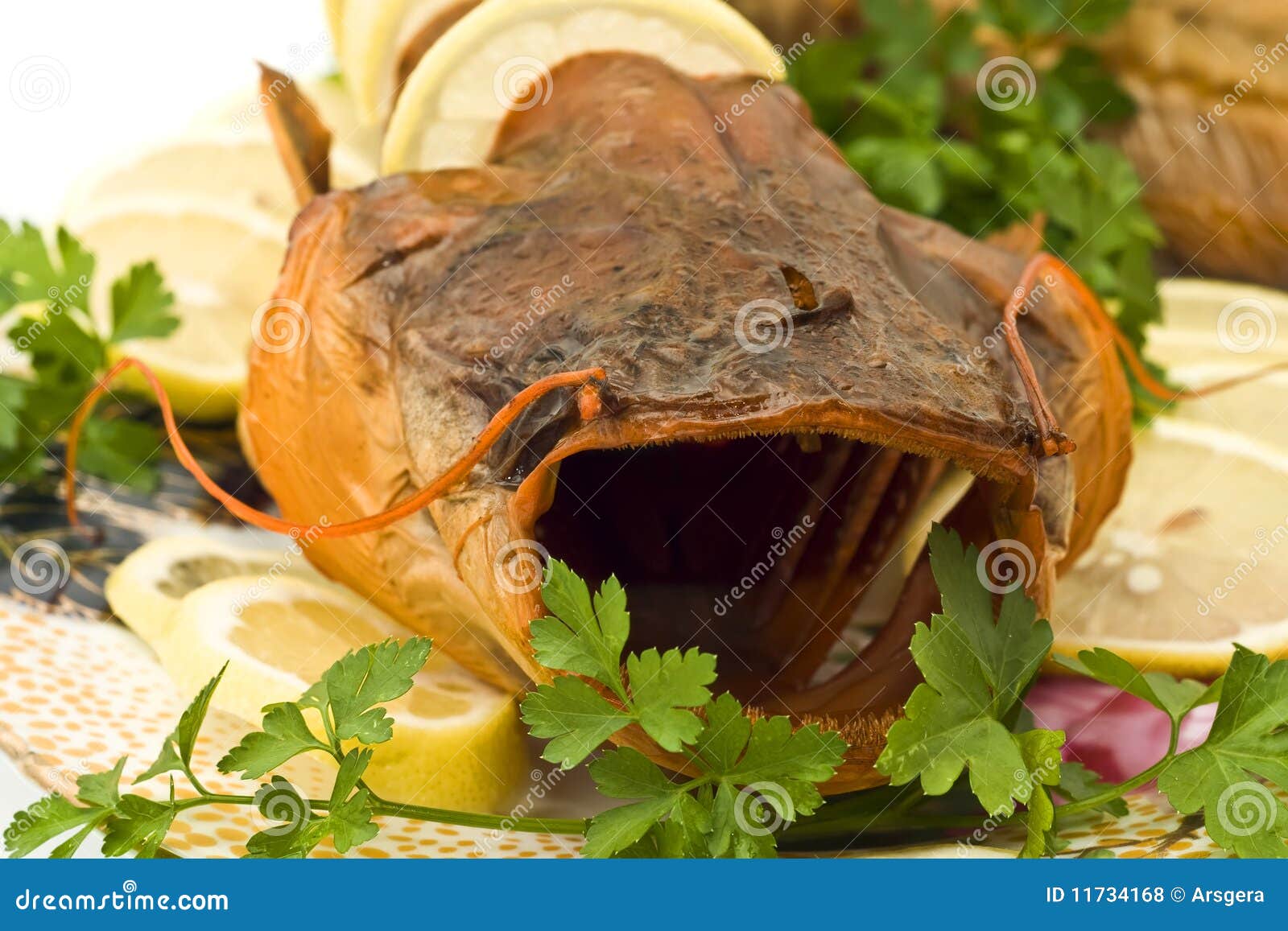 Shore Dinner - Closeup of Fresh-water Catfish Stock Photo - Image of ...