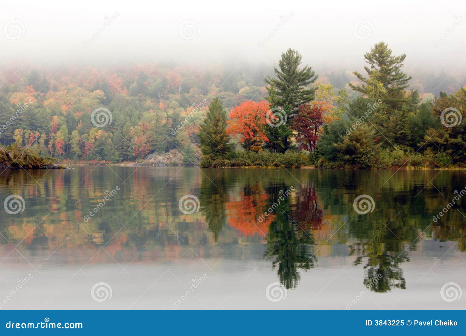 Shore of George Lake stock image. Image of canada, mist - 3843225