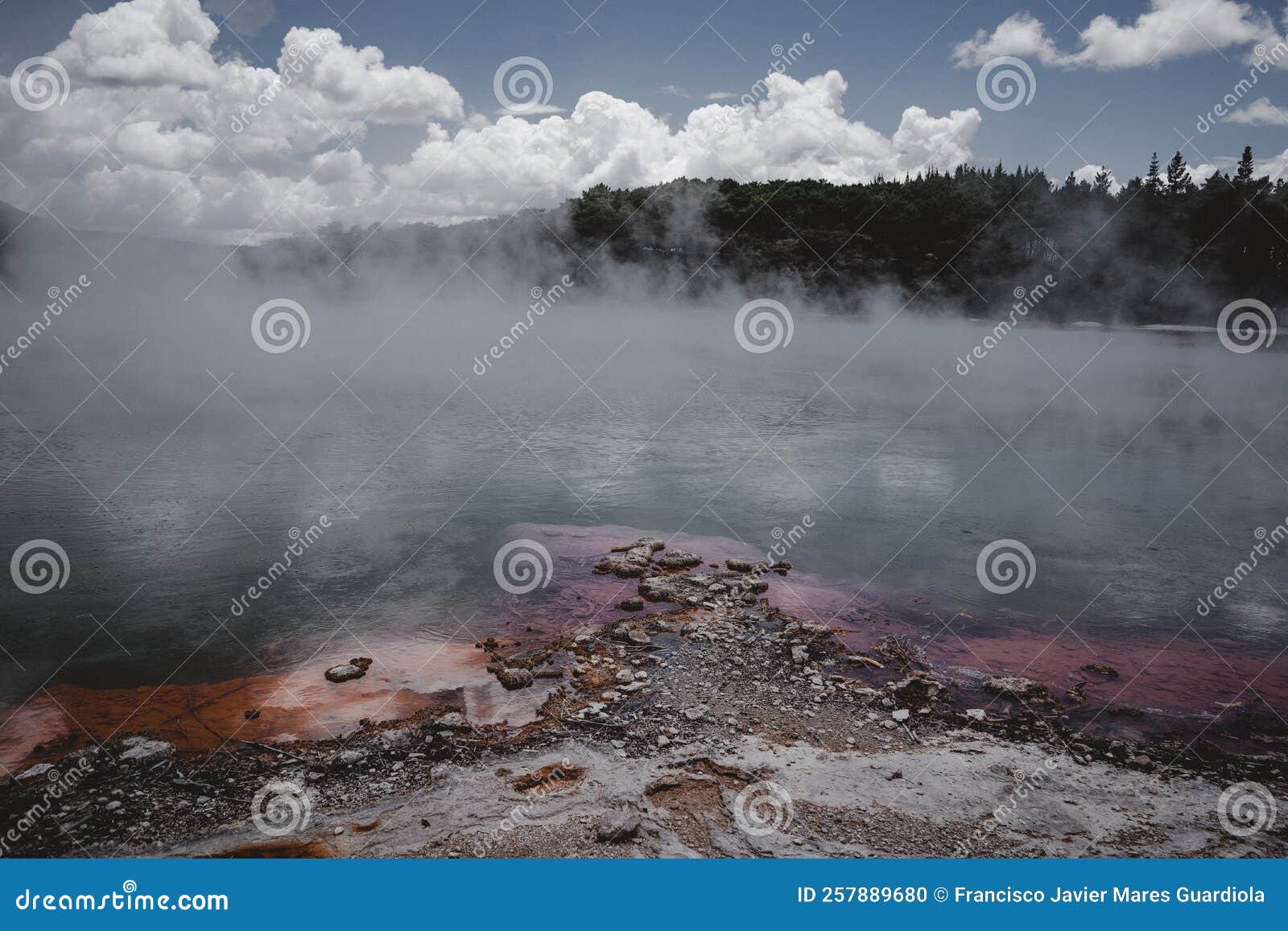 Shore of the Hot Lake of Rotorua Stock Photo - Image of rock, forest ...