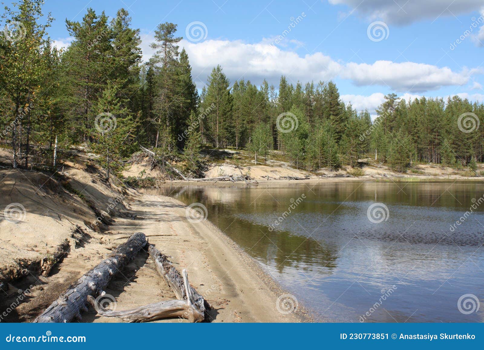 A Shore of the Huge Imandra Lake Stock Image - Image of tree, lichen ...