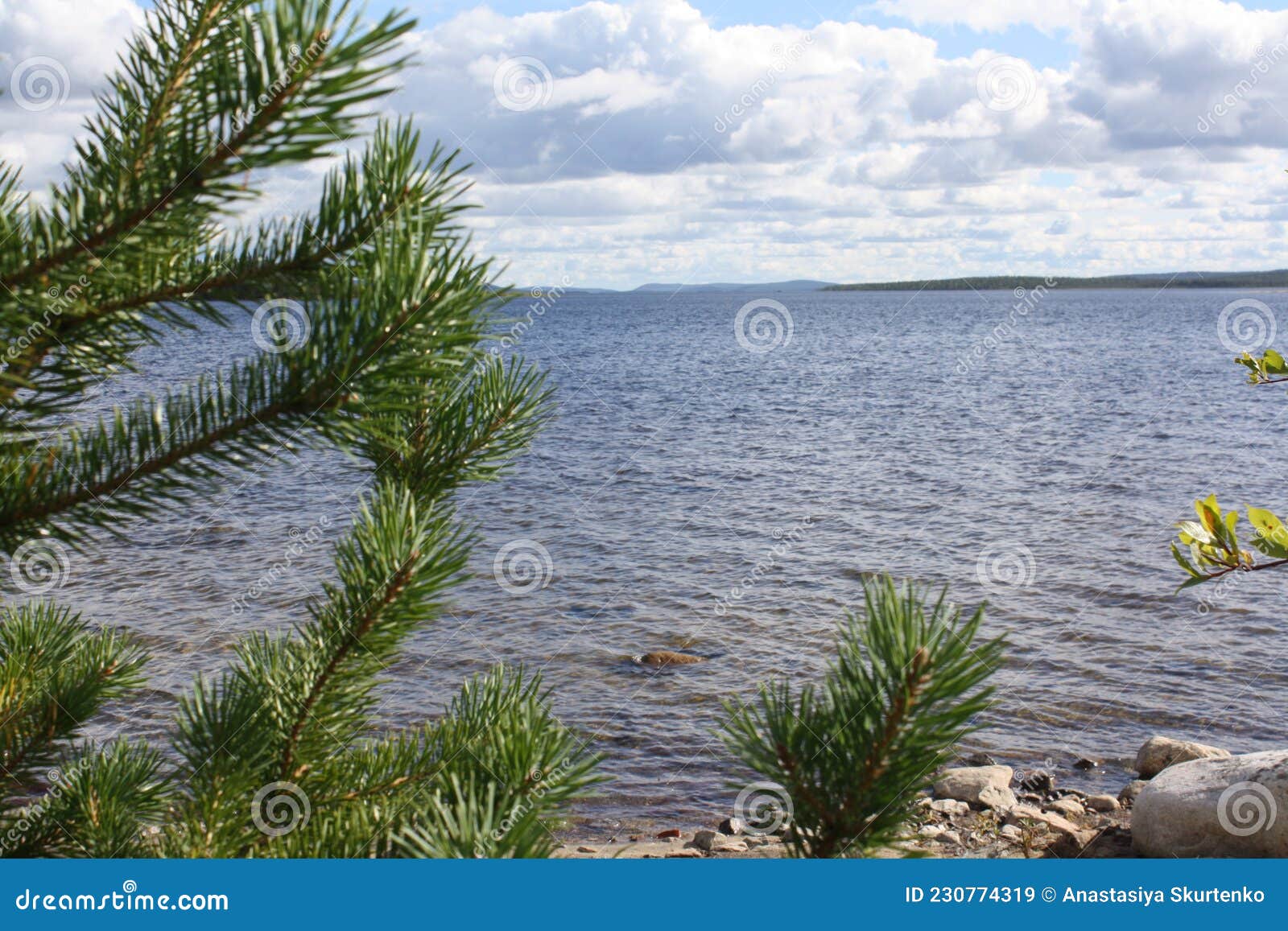 A Shore of the Huge Imandra Lake Stock Image - Image of reservoir ...