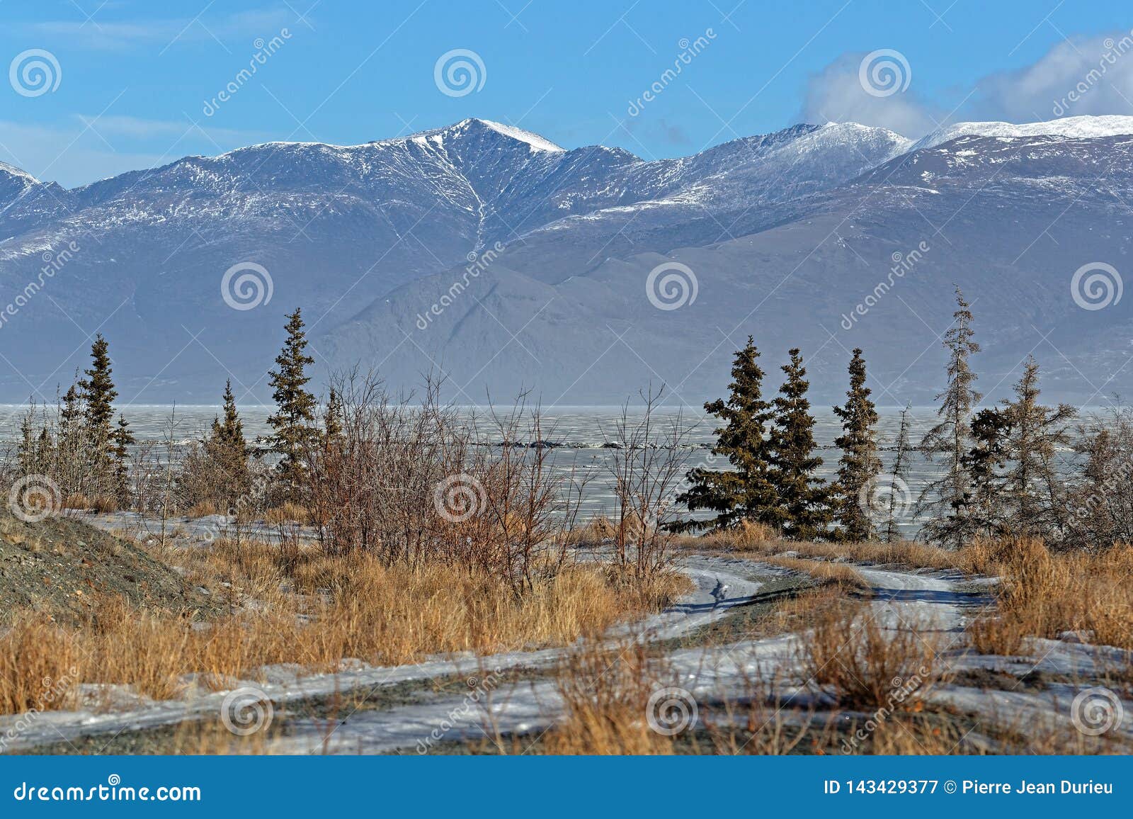 On the Shore of Kluane Lake Stock Image - Image of park, landscape ...