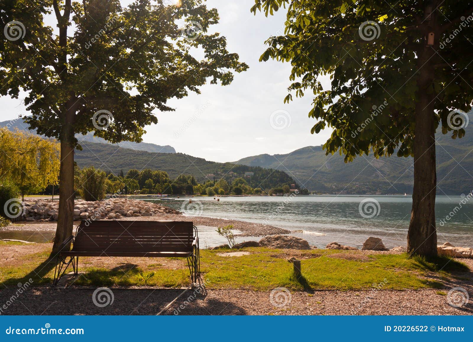 On the shore of the lake stock photo. Image of tree, bench - 20226522
