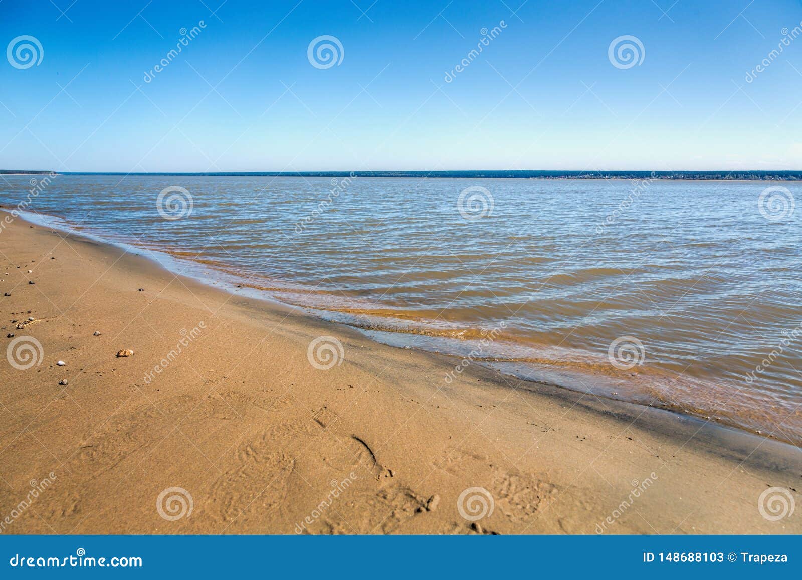 The Shore of the Lake, Summer, Beach Stock Image - Image of leaf, path ...