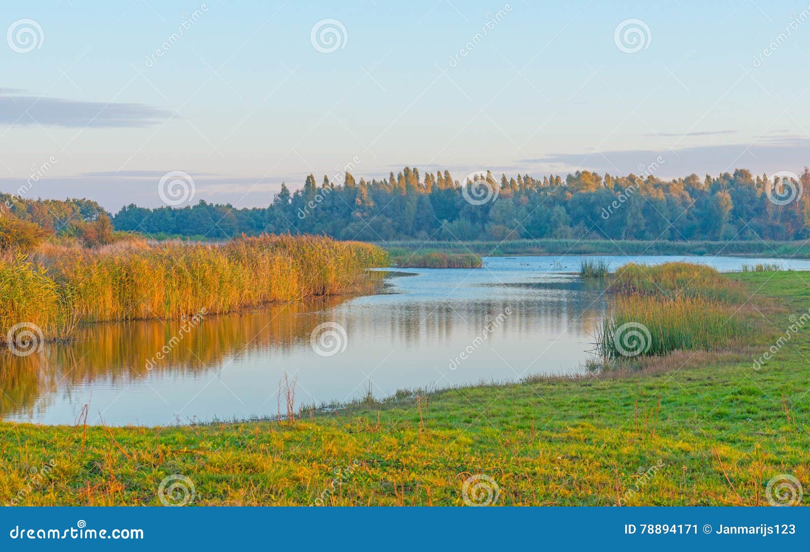 Shore of a lake at sunrise stock image. Image of flevoland - 78894171