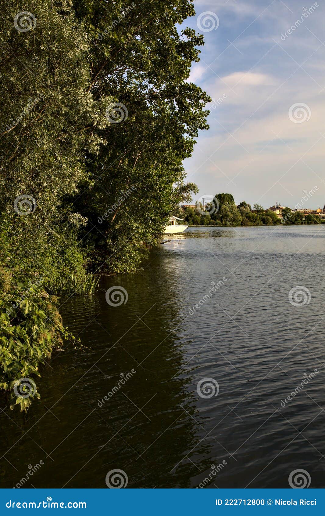 Shore of a Lake at Sunset with Trees and a Boat Stock Photo - Image of ...