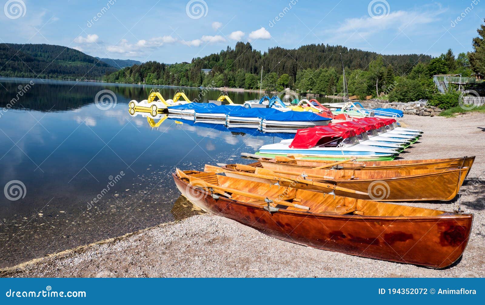 On the Shore of Lake Titisee Stock Photo - Image of shore, mountain ...