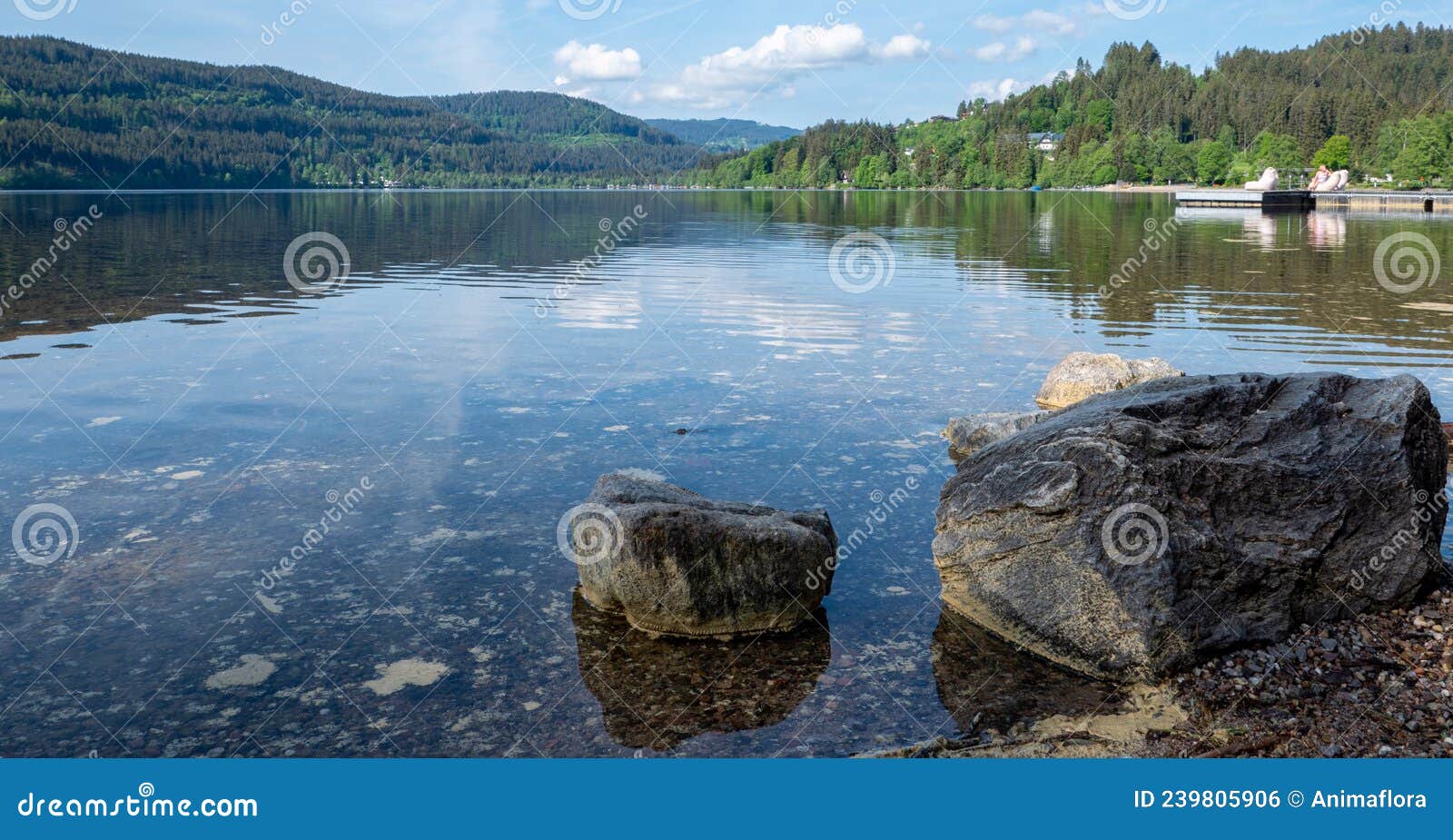 On the Shore of Lake Titisee in the Upper Black Forest Stock Photo ...
