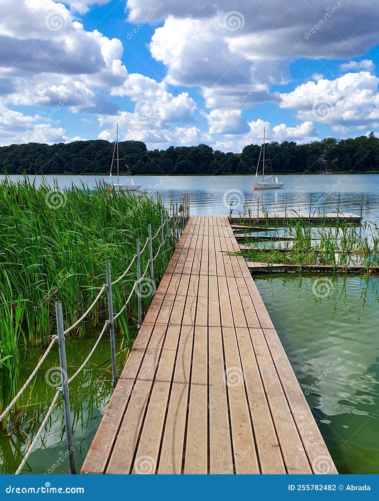 On the shore of the lake stock photo. Image of grass - 255782482